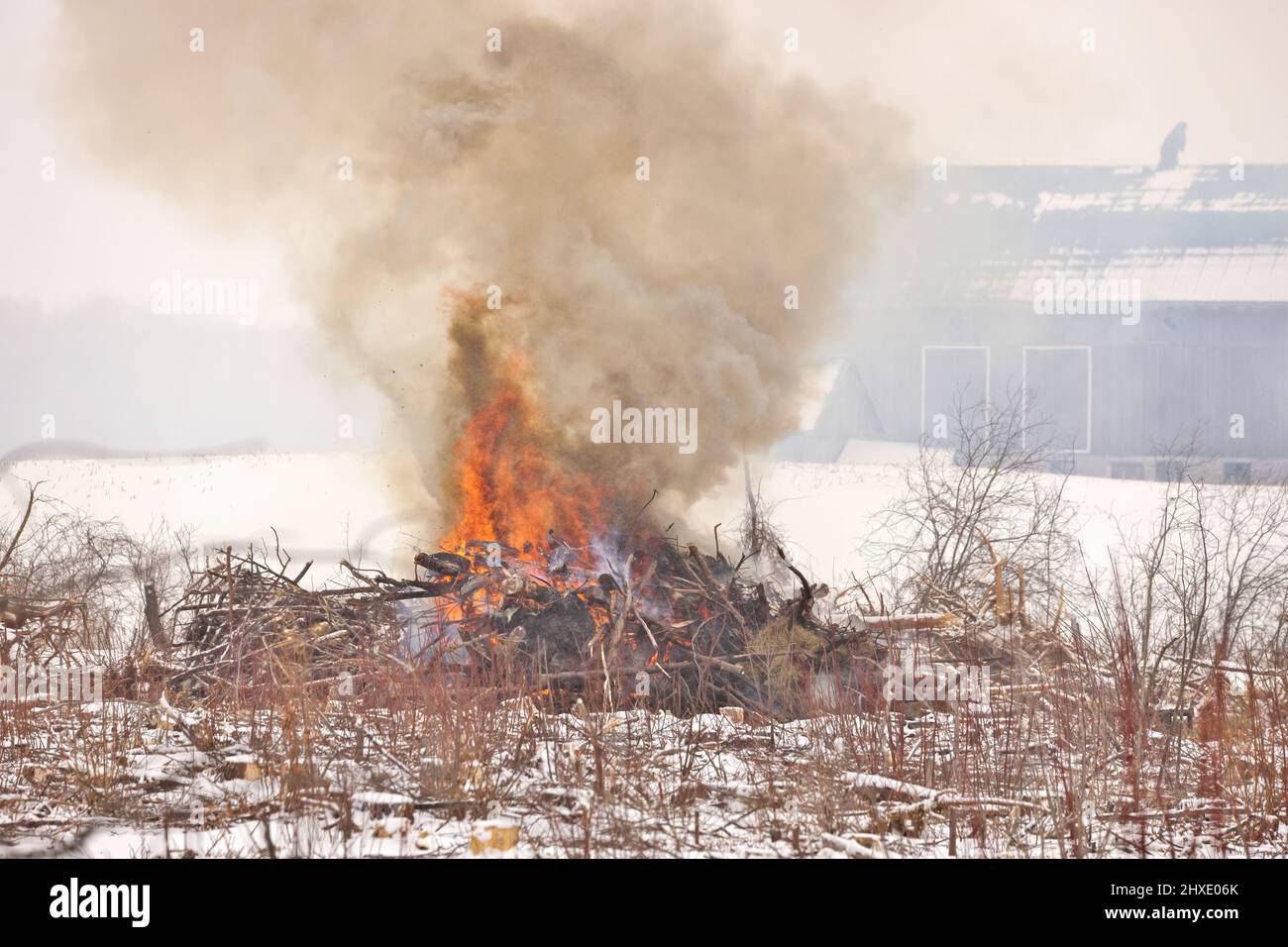 Controlled Burn on a Farm Property where Forest has been Cut Down to ...