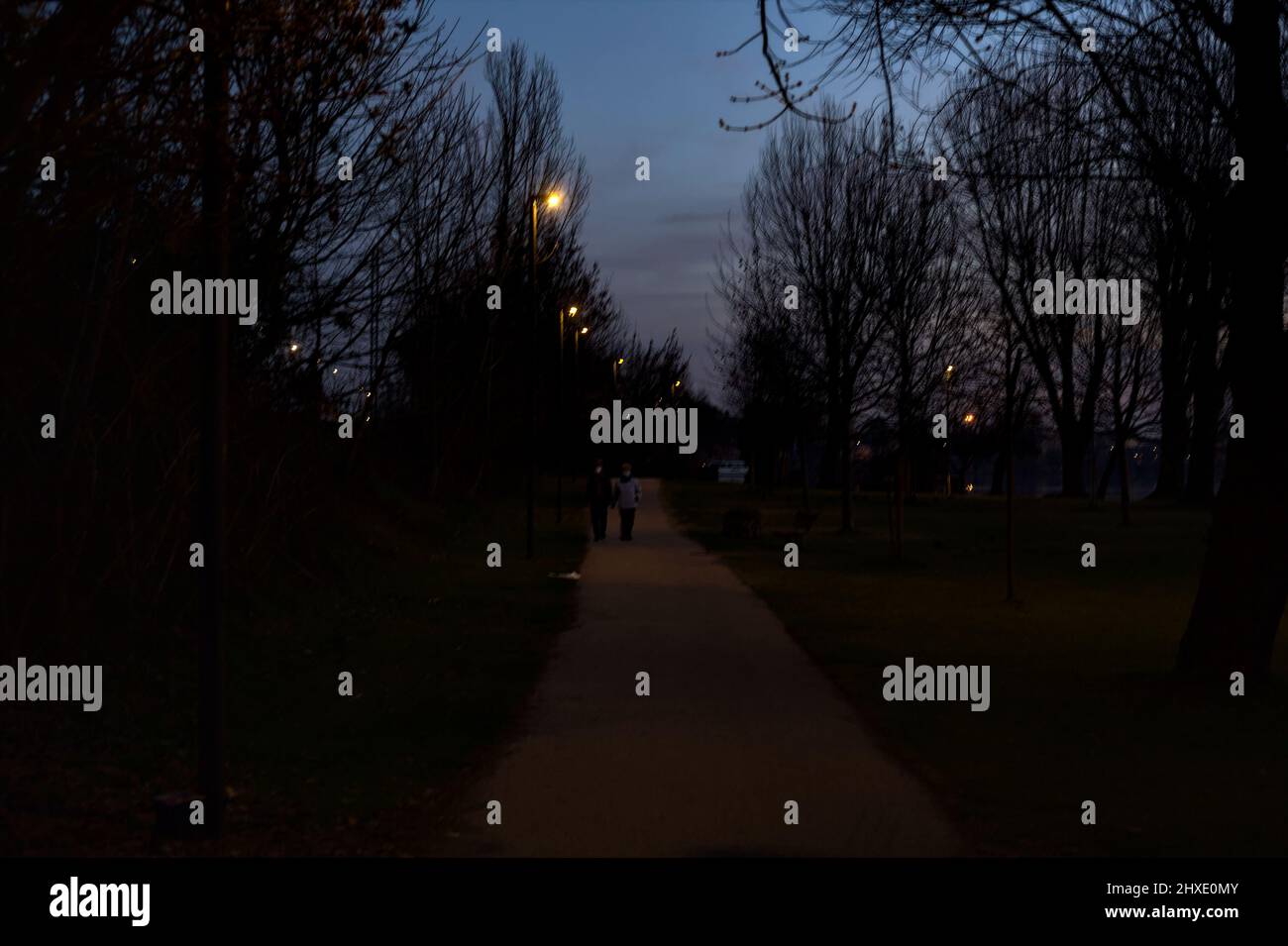 Path in a park by the shore of a lake lit by street lamps at night ...