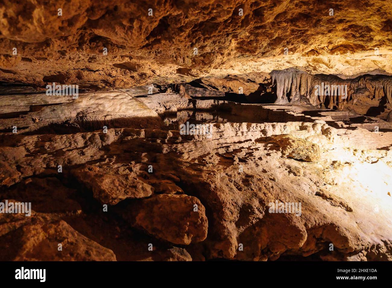 Beautiful Scenic View of a Florida Cavern Stock Photo - Alamy