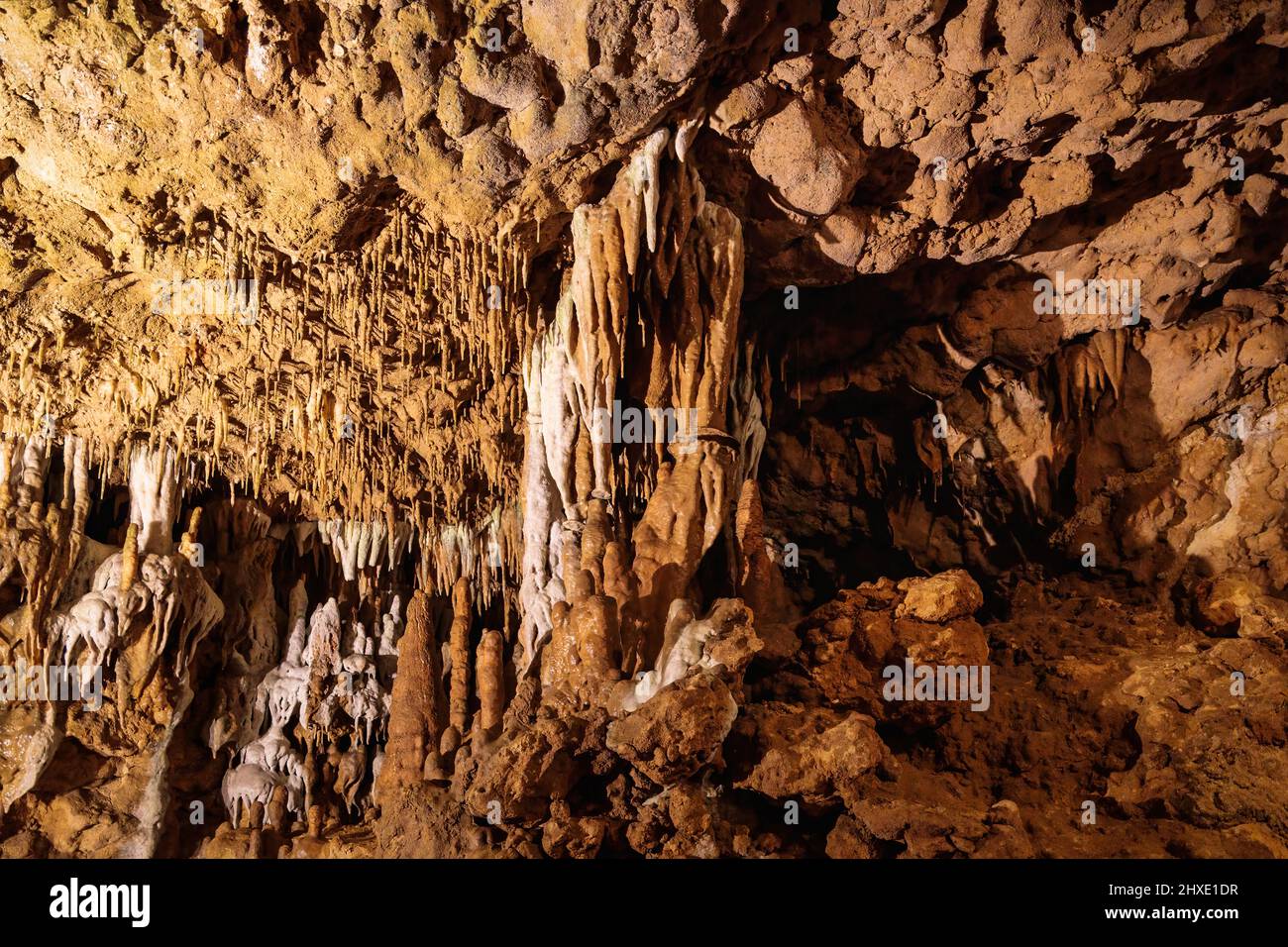 Beautiful Scenic View of a Florida Cavern Stock Photo - Alamy