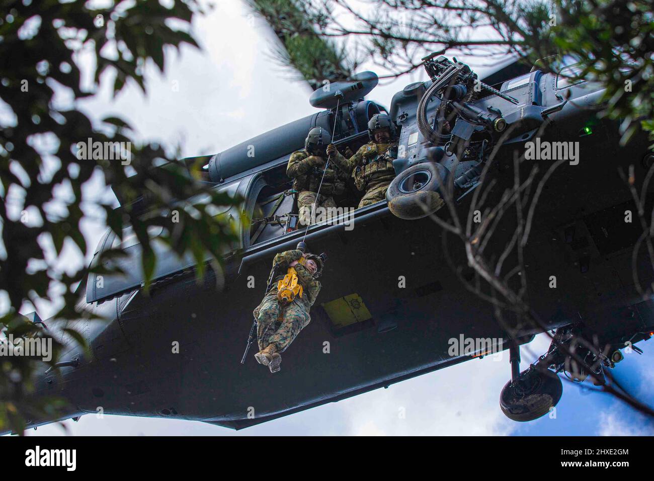 Jungle penetrator hi-res stock photography and images - Alamy