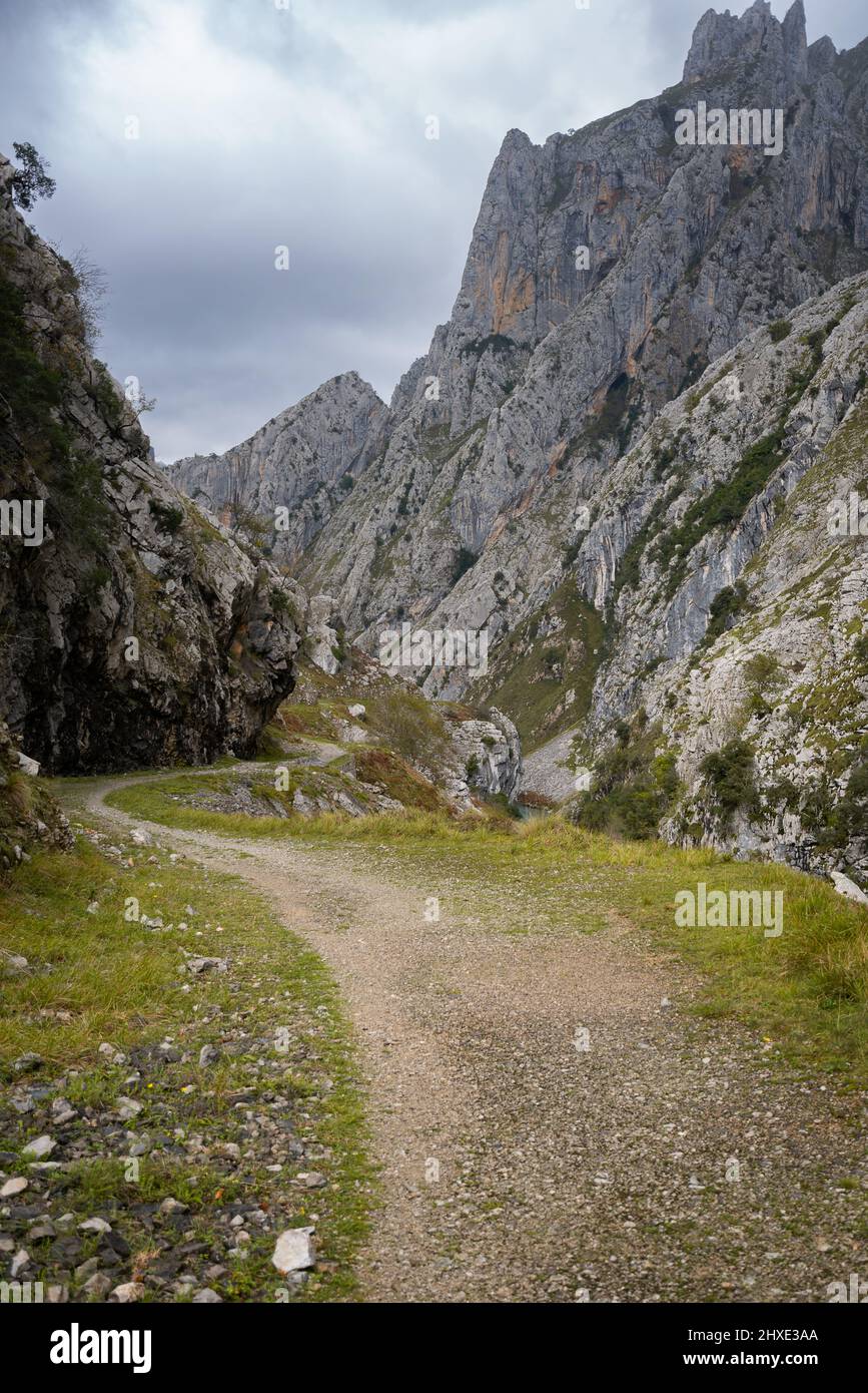 Ruta del Cares trail nature landscape in Picos de Europa national park ...