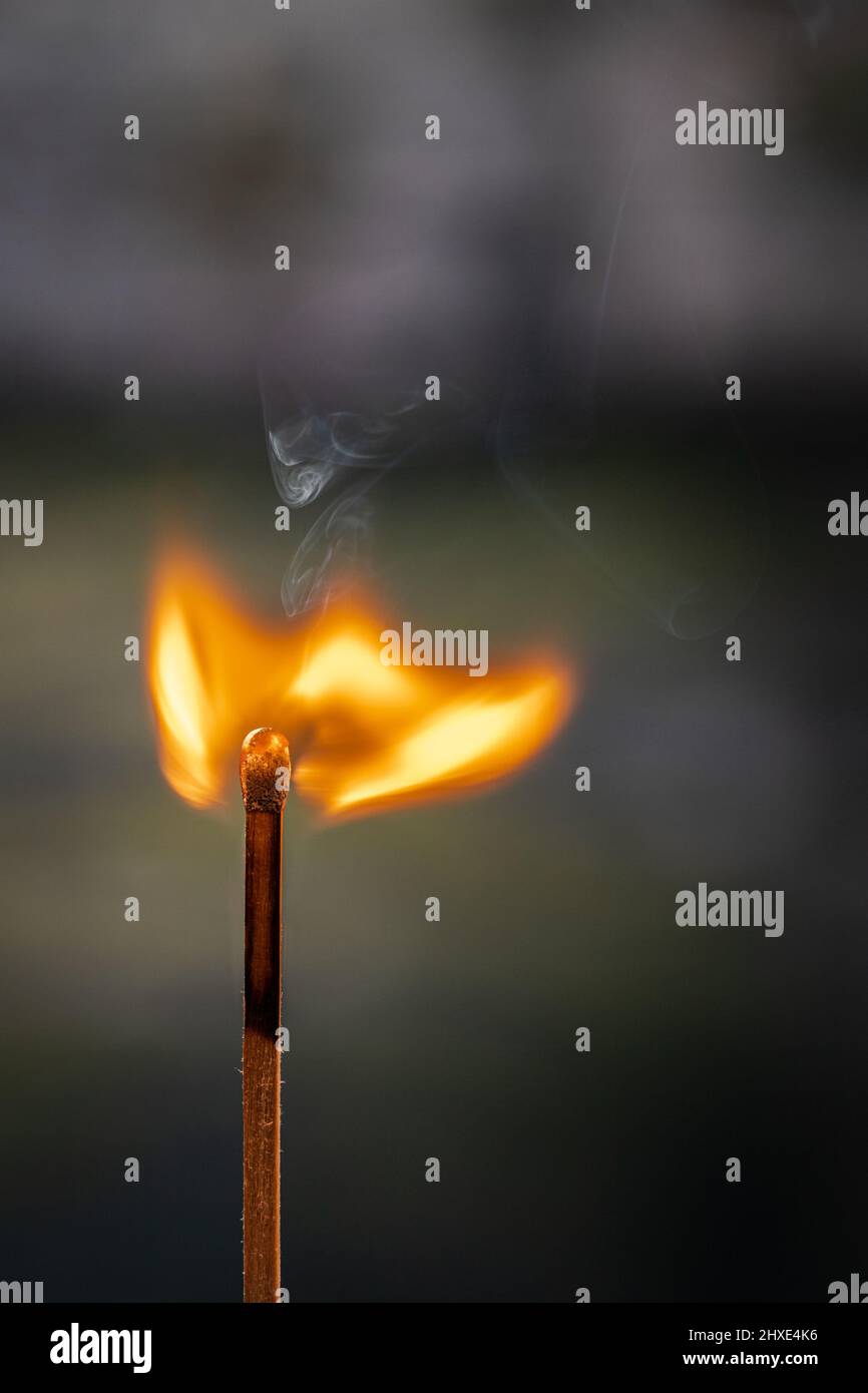 Single match stick yellow hi-res stock photography and images - Alamy