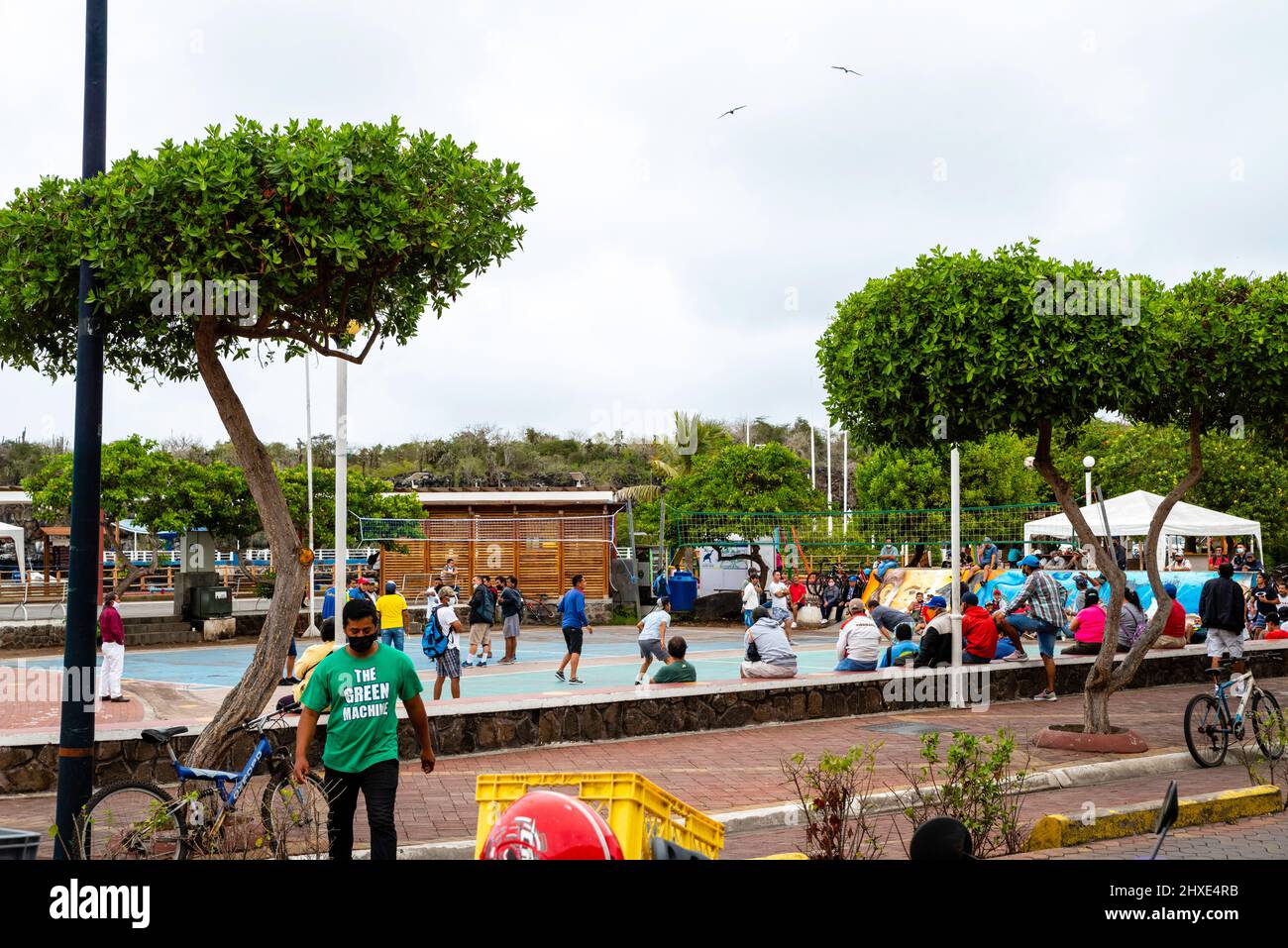 Street scene from Puerto Ayora, Isla Santa Cruz, Galapagos Islands ...