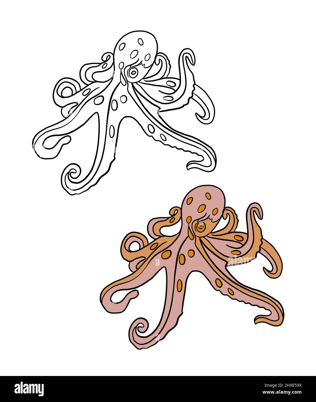 Octopus Drawing For Coloring 10 Cute Octopus Coloring Pages Your