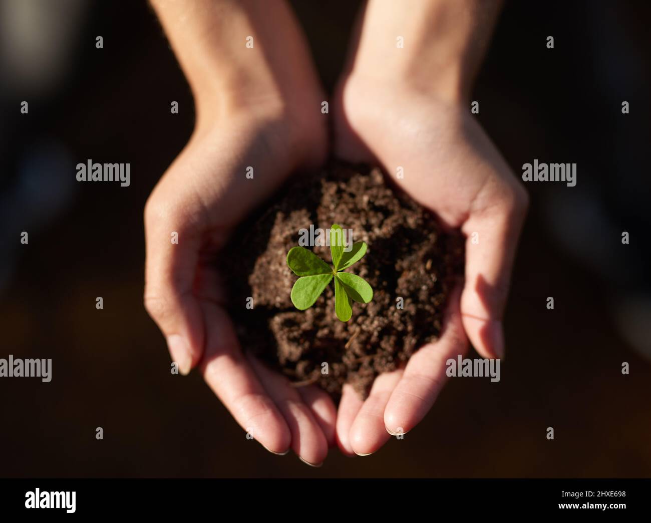 The key to a greener planet is in your hands. Shot of an unidentifiable ...