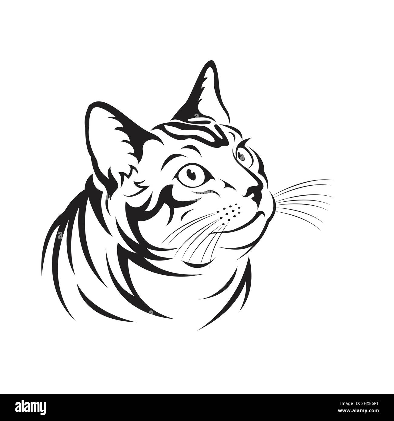 Vector of a cat on white background. Pet Animal. Easy editable layered vector illustration Stock ...