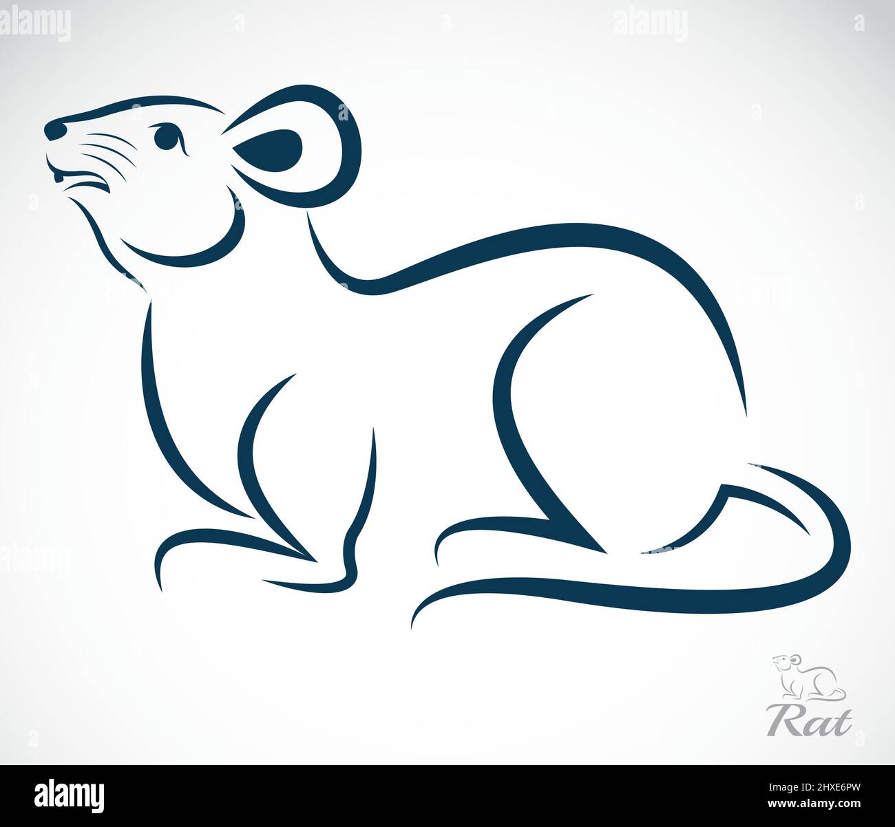 Vector image of a rat on white background. Easy editable layered vector ...