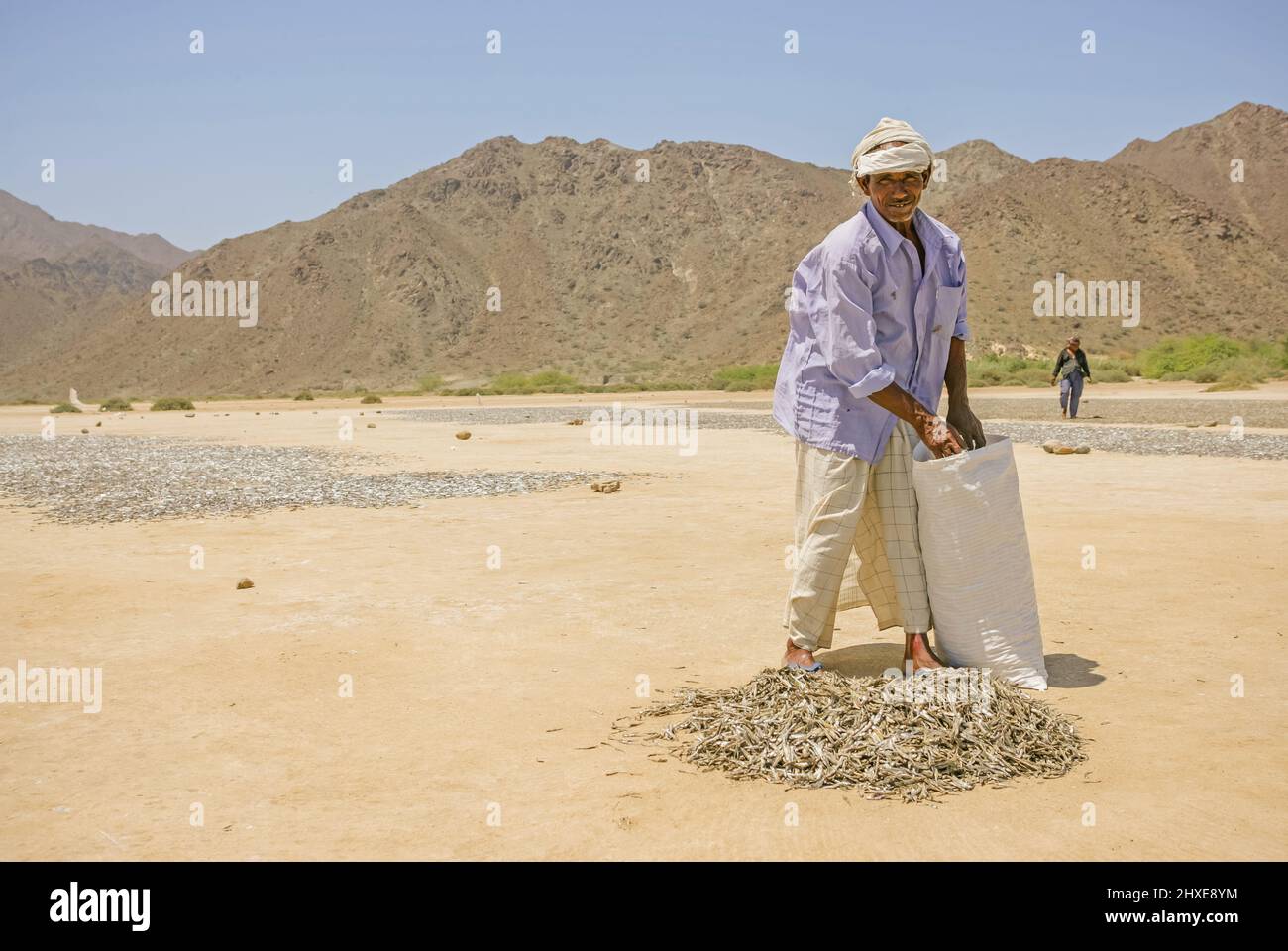 Fish farming uae hi-res stock photography and images - Alamy
