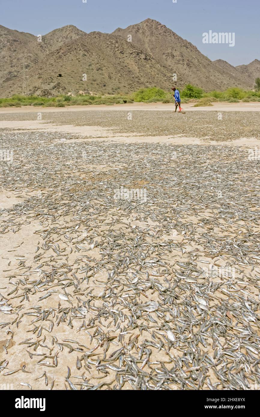 Al qurayyah hi-res stock photography and images - Alamy