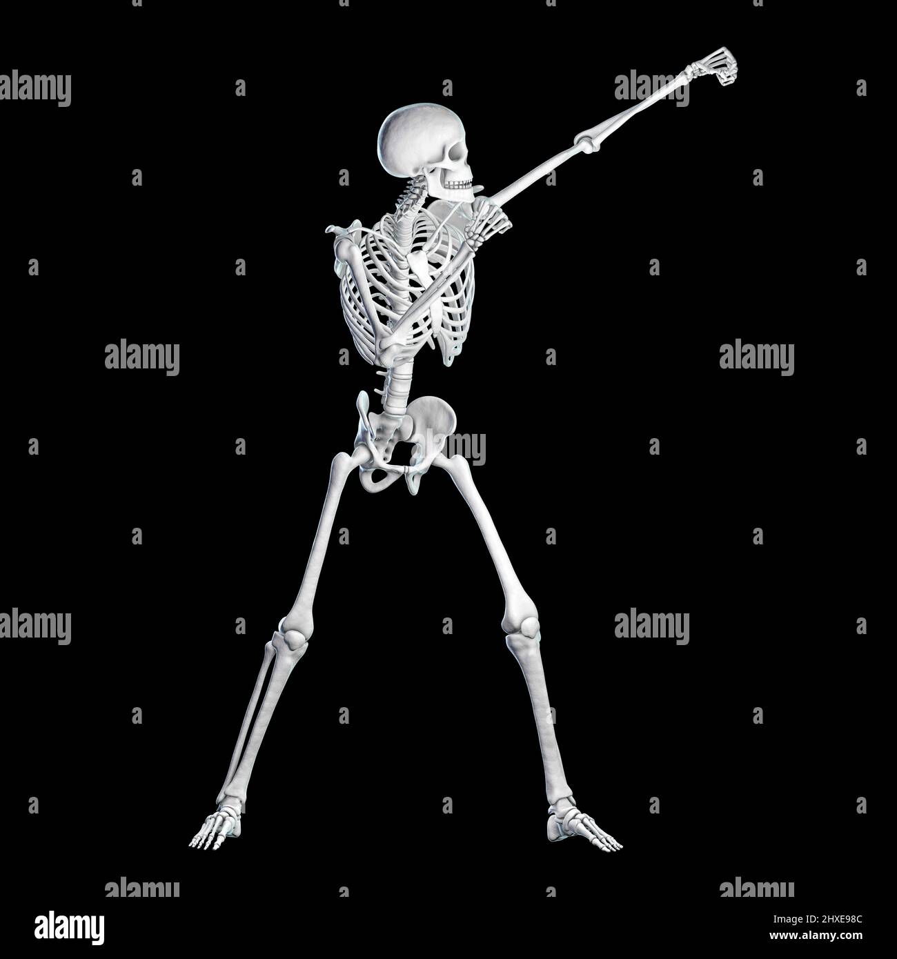 Skeleton boxing, illustration Stock Photo - Alamy