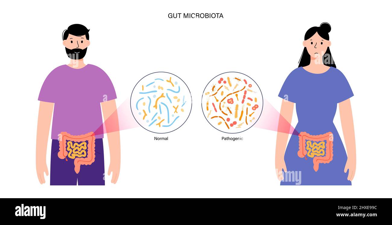 Body and mind connection Cut Out Stock Images & Pictures - Alamy