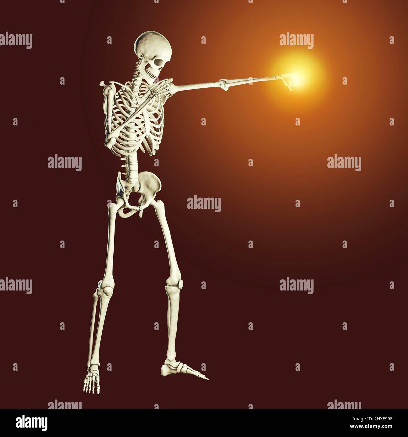 Skeleton boxing, illustration Stock Photo - Alamy