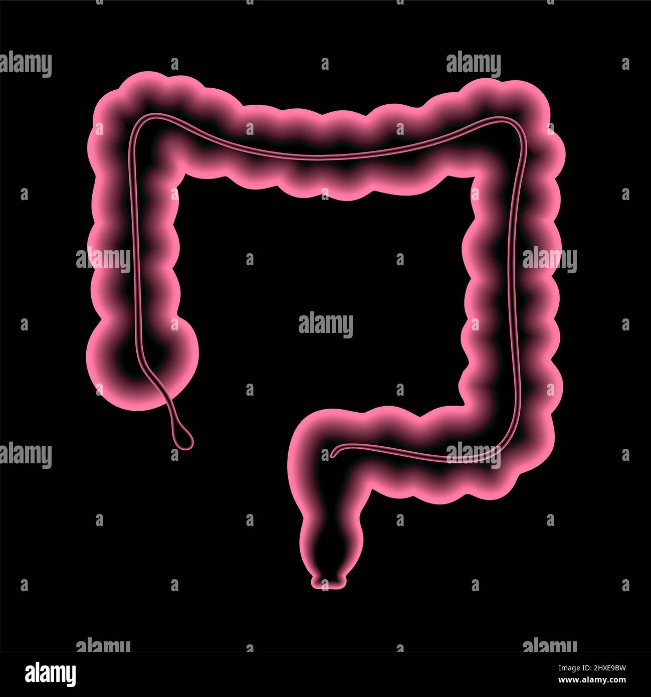 Human intestine, illustration Stock Photo - Alamy