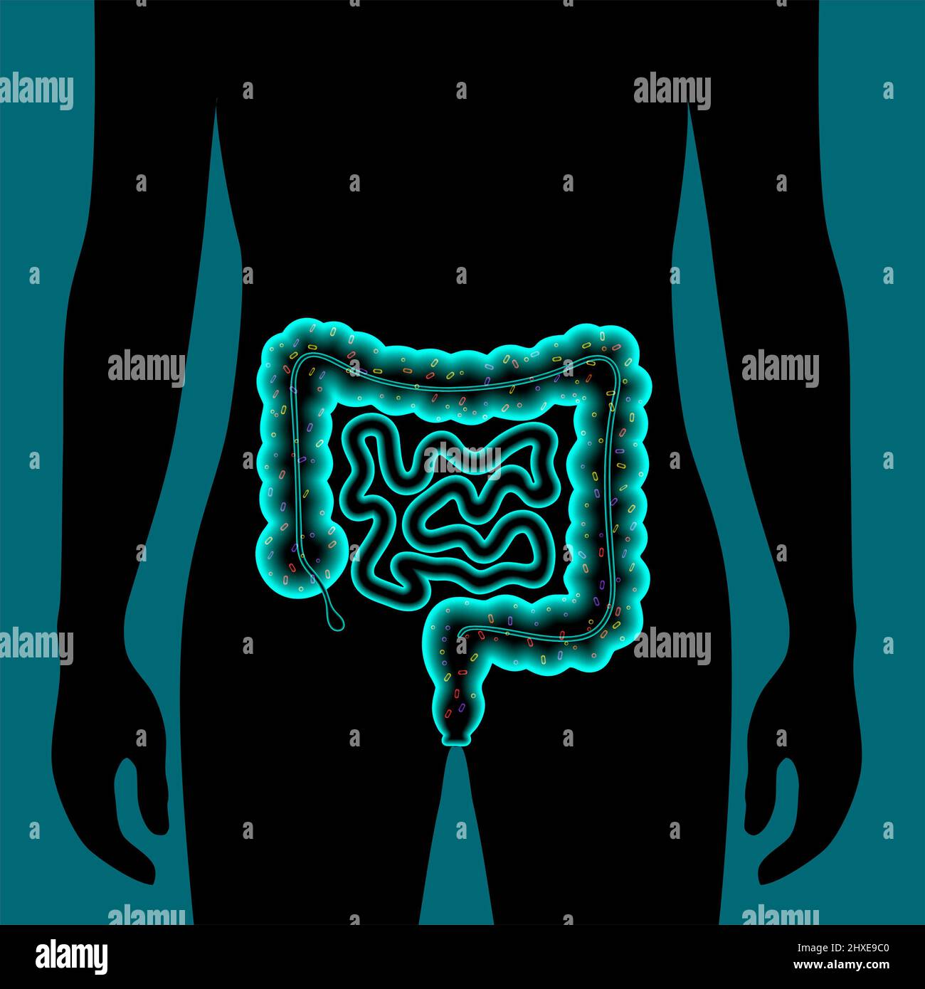 Gut microbiome, illustration Stock Photo - Alamy