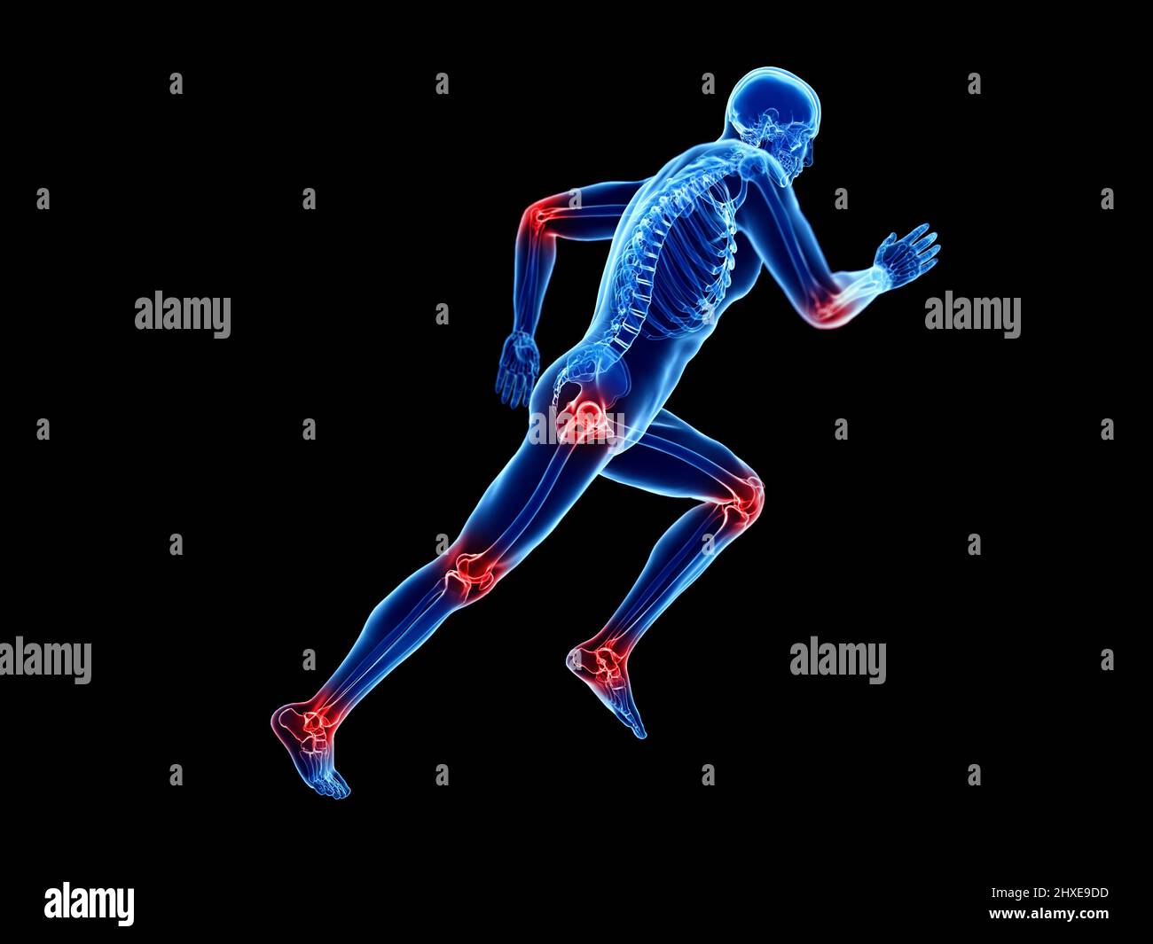 Runner's skeleton, illustration Stock Photo - Alamy