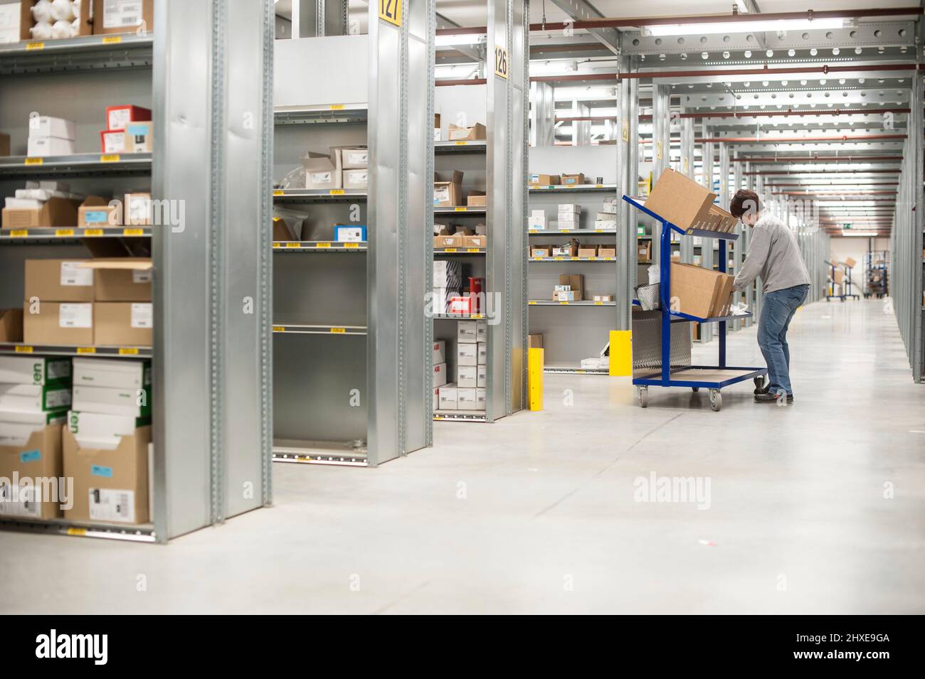 Worker in a distribution warehouse Stock Photo - Alamy