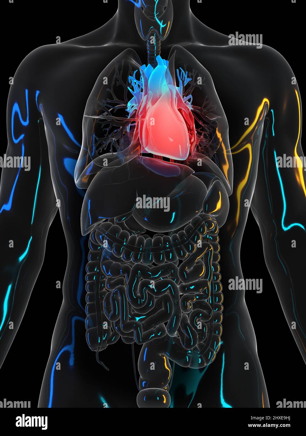 Painful heart, illustration Stock Photo - Alamy
