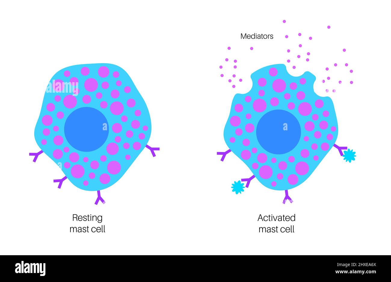 Cell mast Cut Out Stock Images & Pictures - Alamy