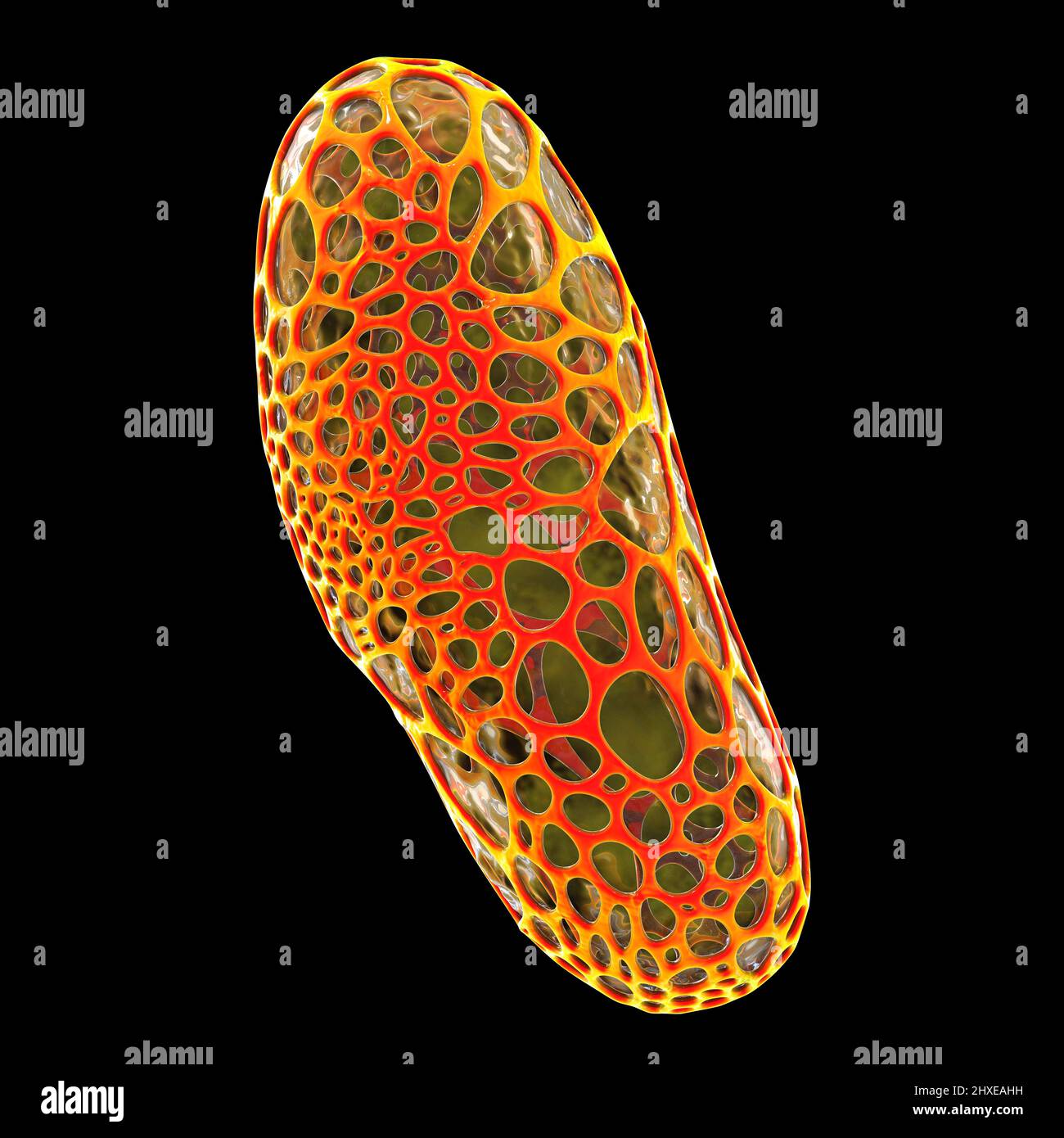Bacterium tech hi-res stock photography and images - Alamy