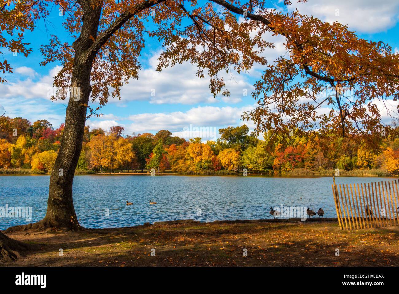 Peaceful Fall Images