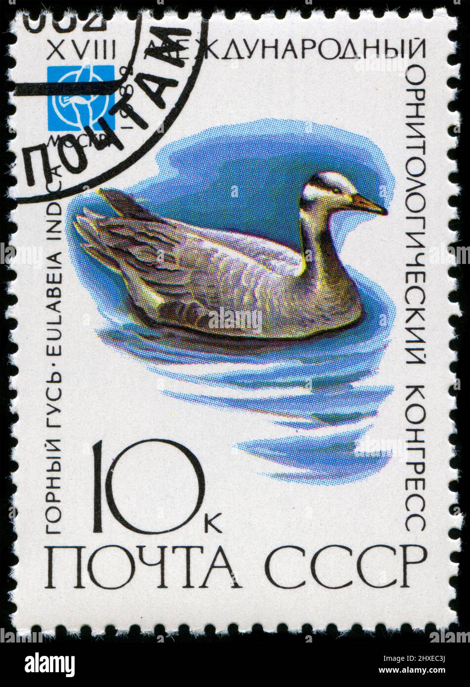 Postage stamp from Russia in the 18th International Ornithological ...