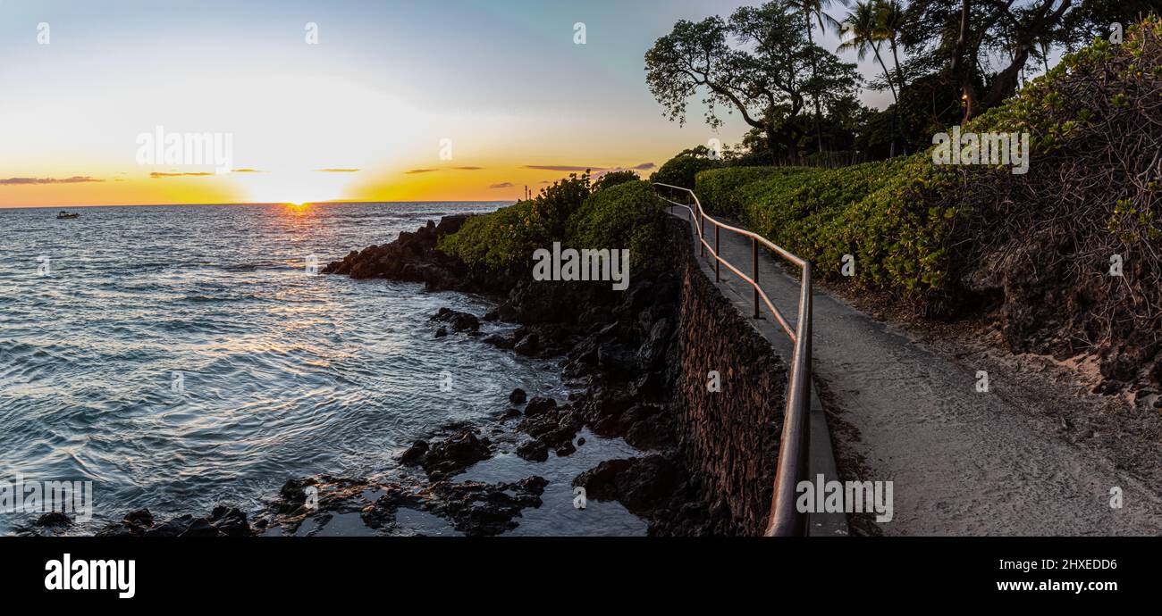 Hawaii big island trees path hi-res stock photography and images - Alamy