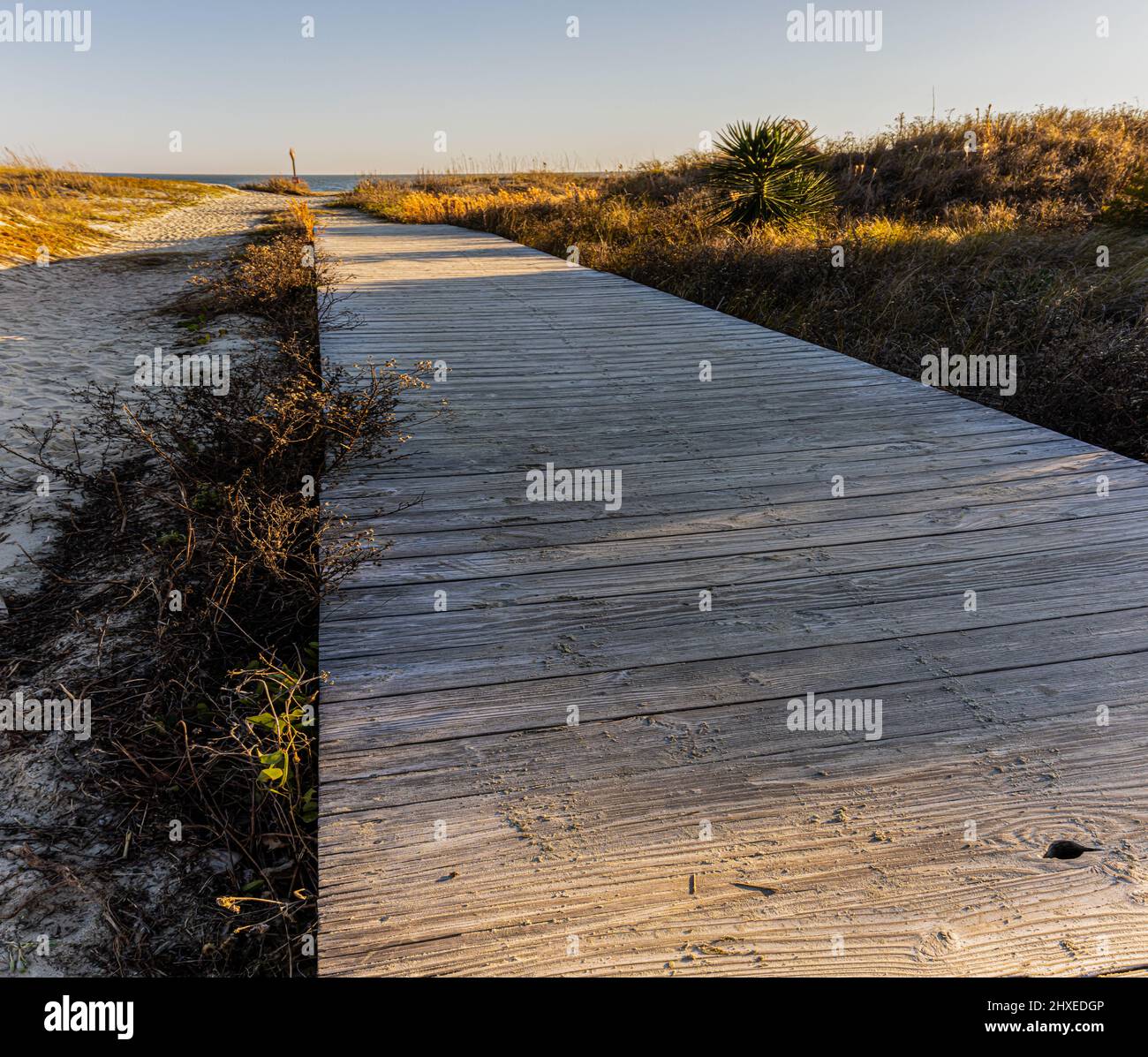 Boardwalk and The Sand Dunes of Station 18 Beach, Sullivan's Island ...