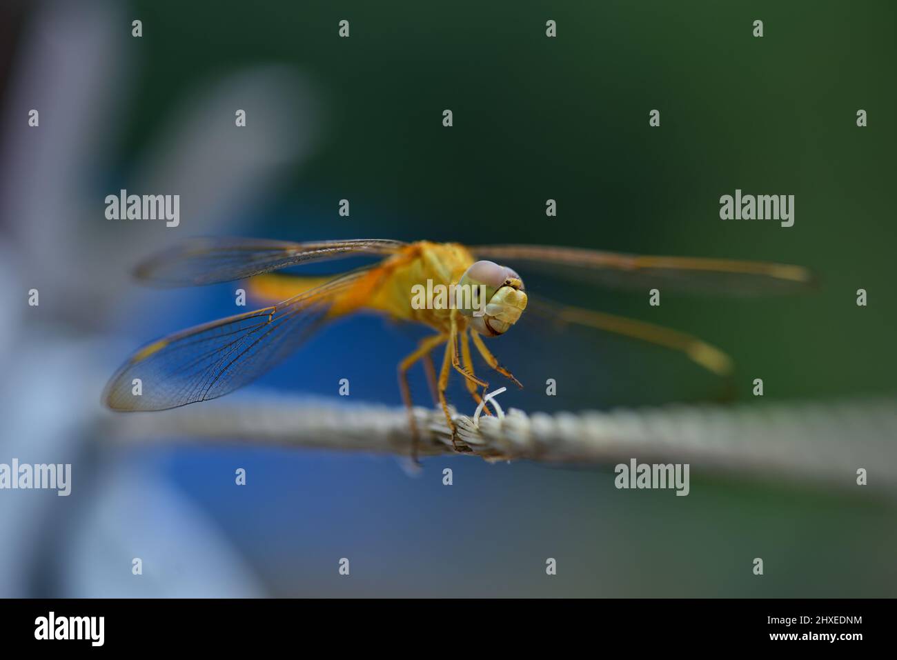 Map of turkey in blue color hi-res stock photography and images - Alamy