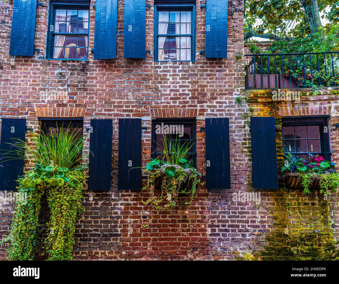 Plant Filled Window Boxes in The Historic District, Charleston, South ...