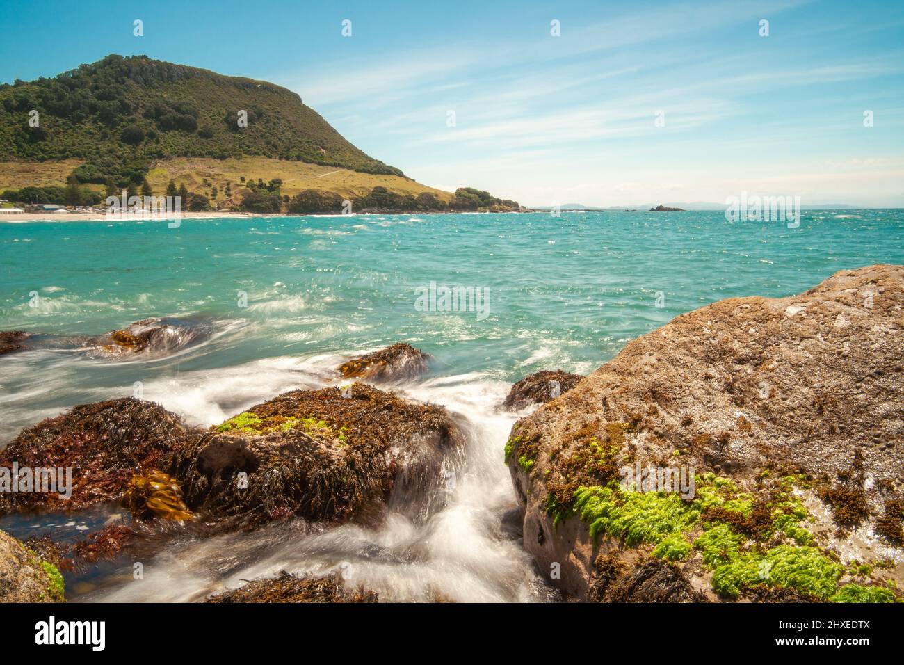 Mount Maunganui landmark on horizon from rocky foreground of Moturiki ...