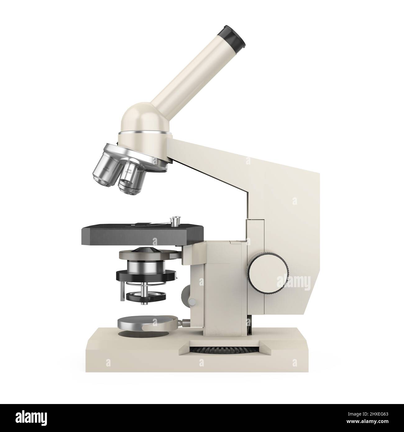 Microscope study Cut Out Stock Images & Pictures - Alamy