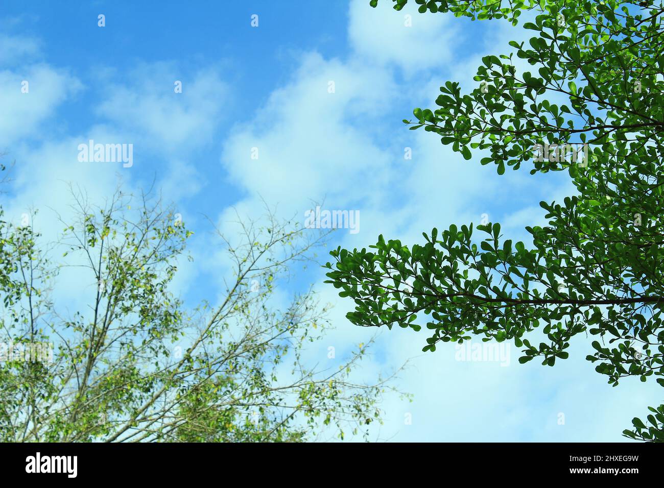 Frames view of beautiful countryside hi-res stock photography and ...