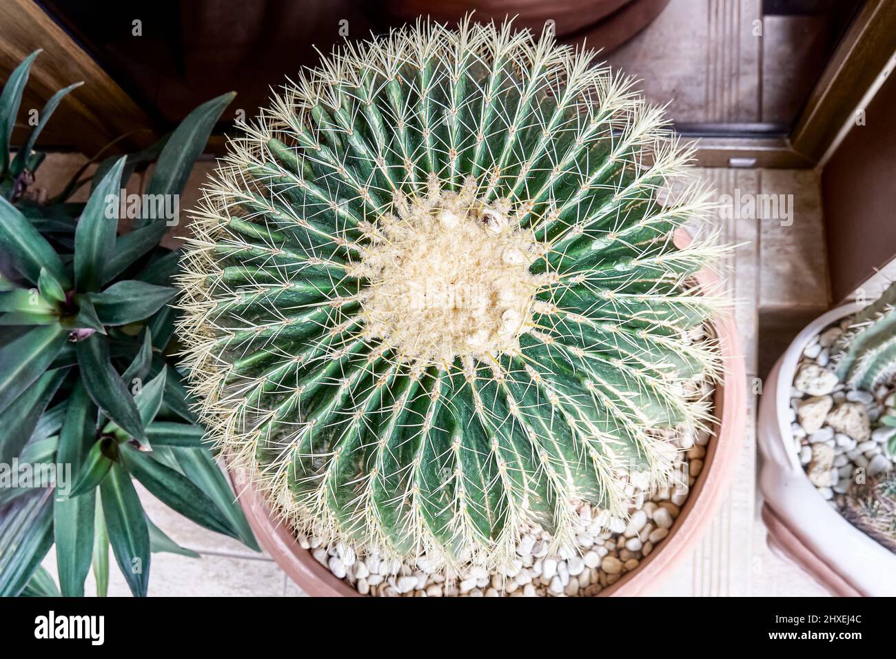 Pebble tiles hi-res stock photography and images - Alamy