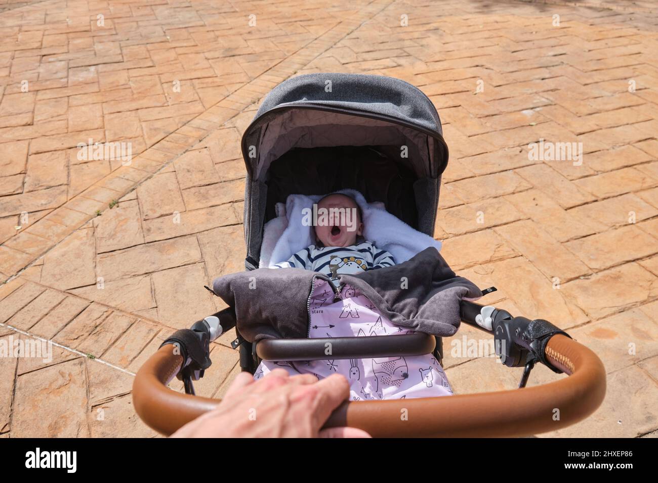 Baby walking outdoors inside the baby stroller Stock Photo - Alamy