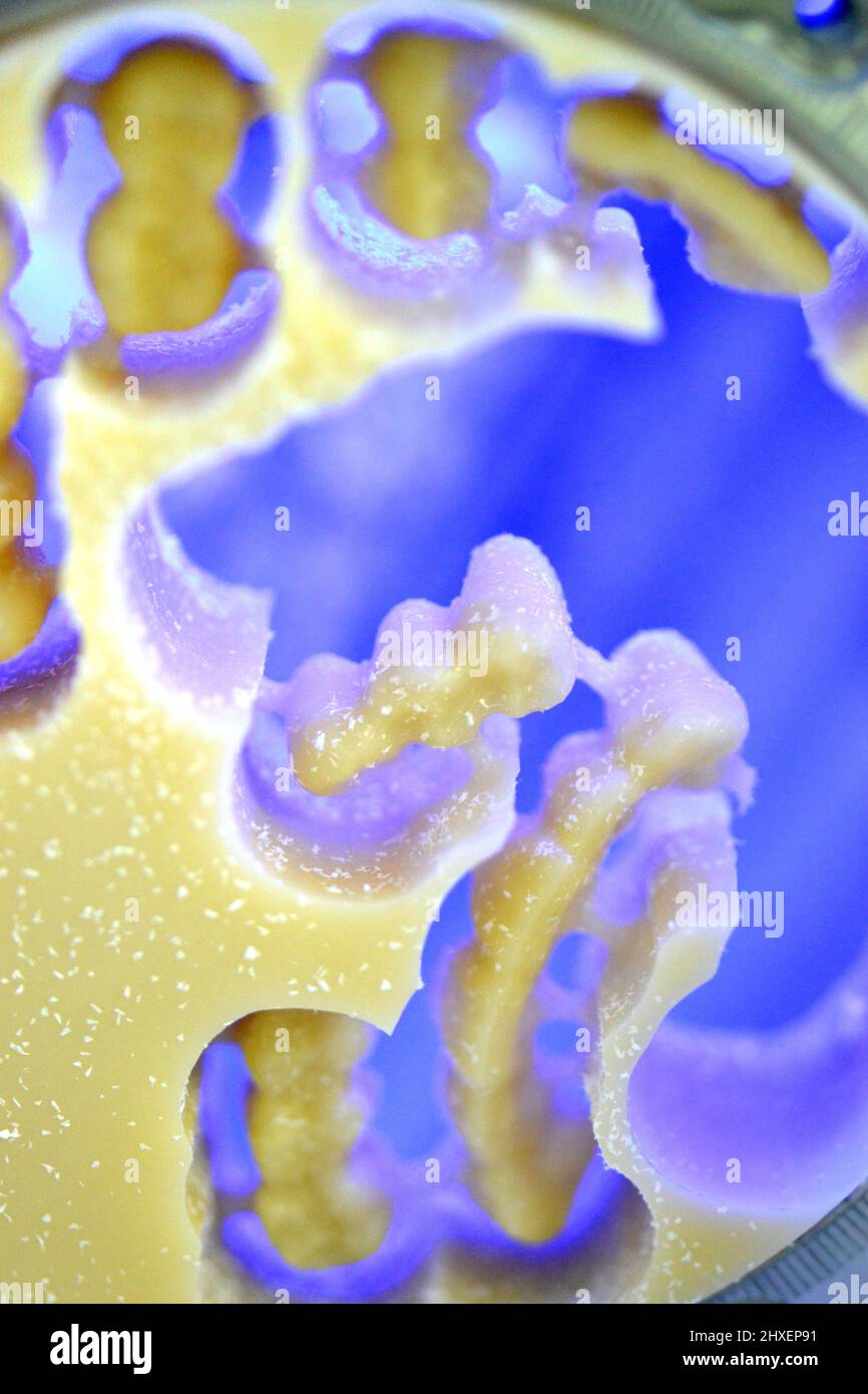 Dental milling machine carving out shape of human teeth Stock Photo - Alamy