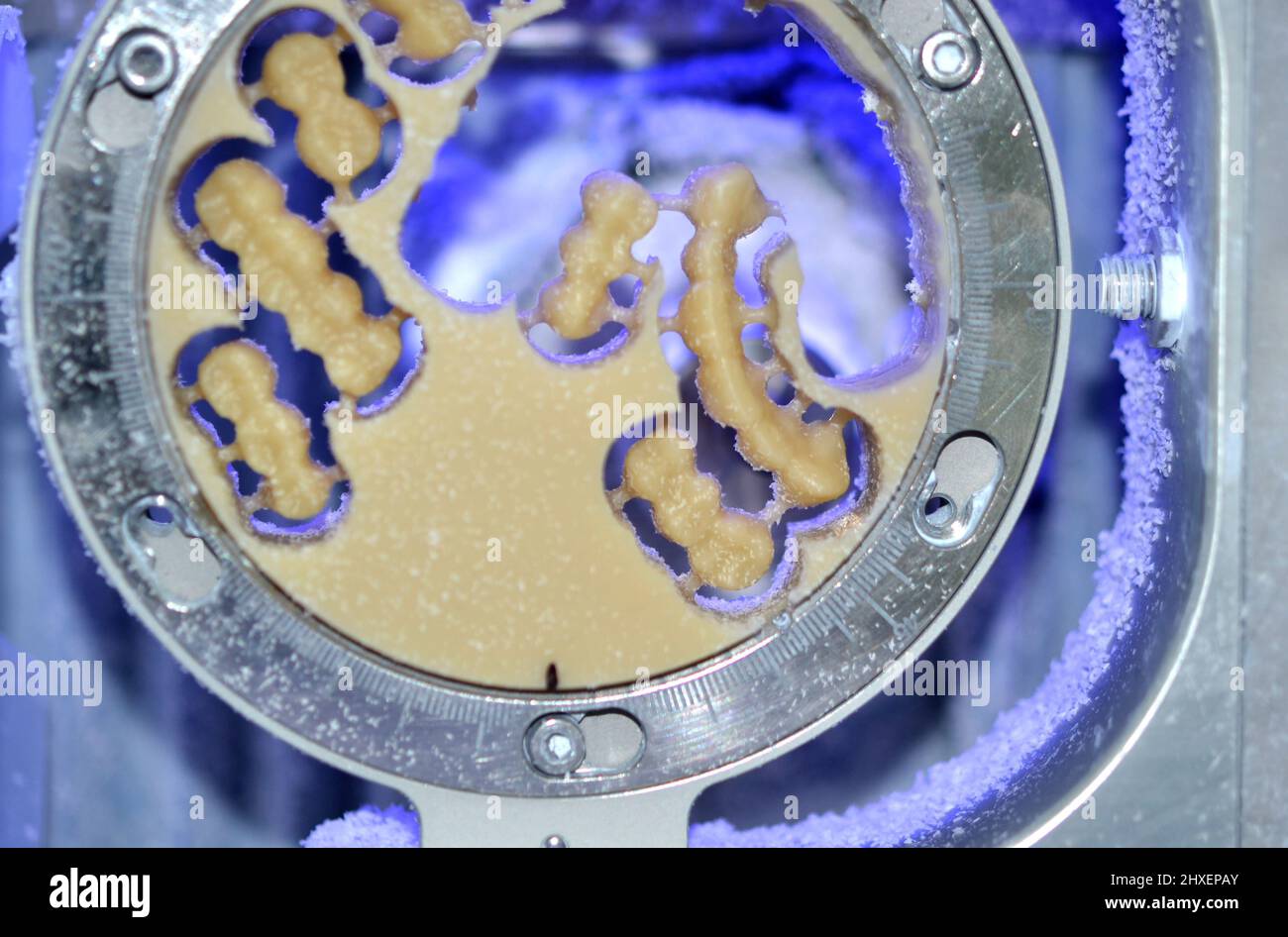 Milling teeth hi-res stock photography and images - Alamy