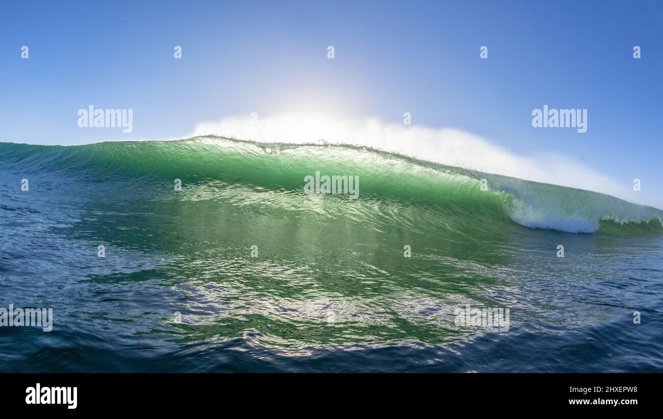 Ocean wave swimming face to face encounter of nature water power Stock ...