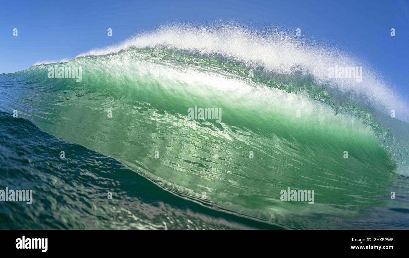 Ocean wave swimming face to face encounter of nature water power Stock ...