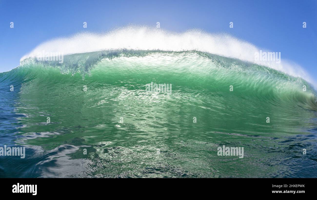 Ocean wave swimming face to face encounter of nature water power Stock ...