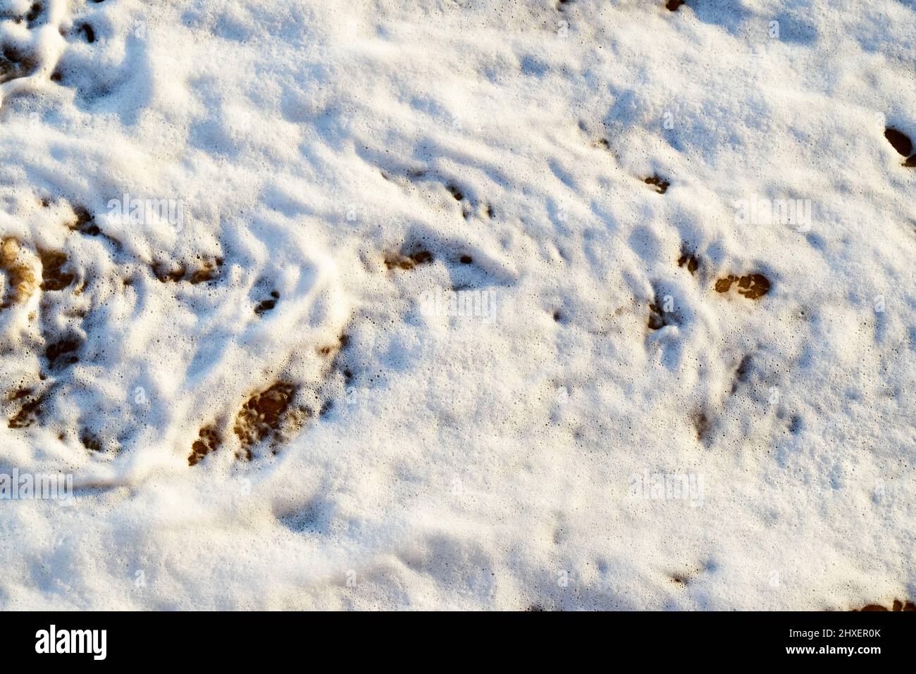 White froth on top of sea water Stock Photo - Alamy