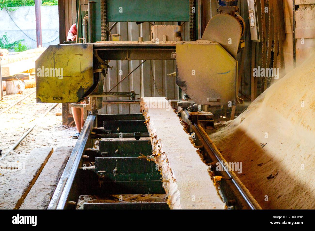 Sawmill. Process of machining logs in sawmill machine saws the tree ...