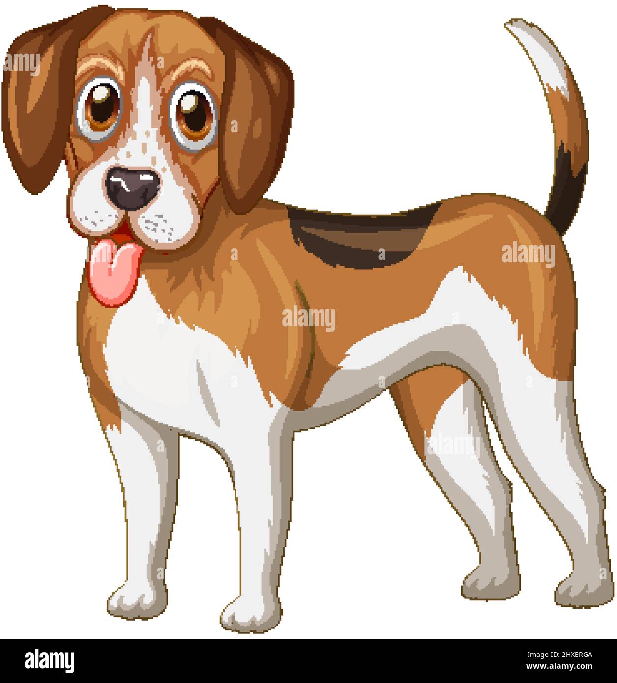 Beagle hound Cut Out Stock Images & Pictures - Alamy