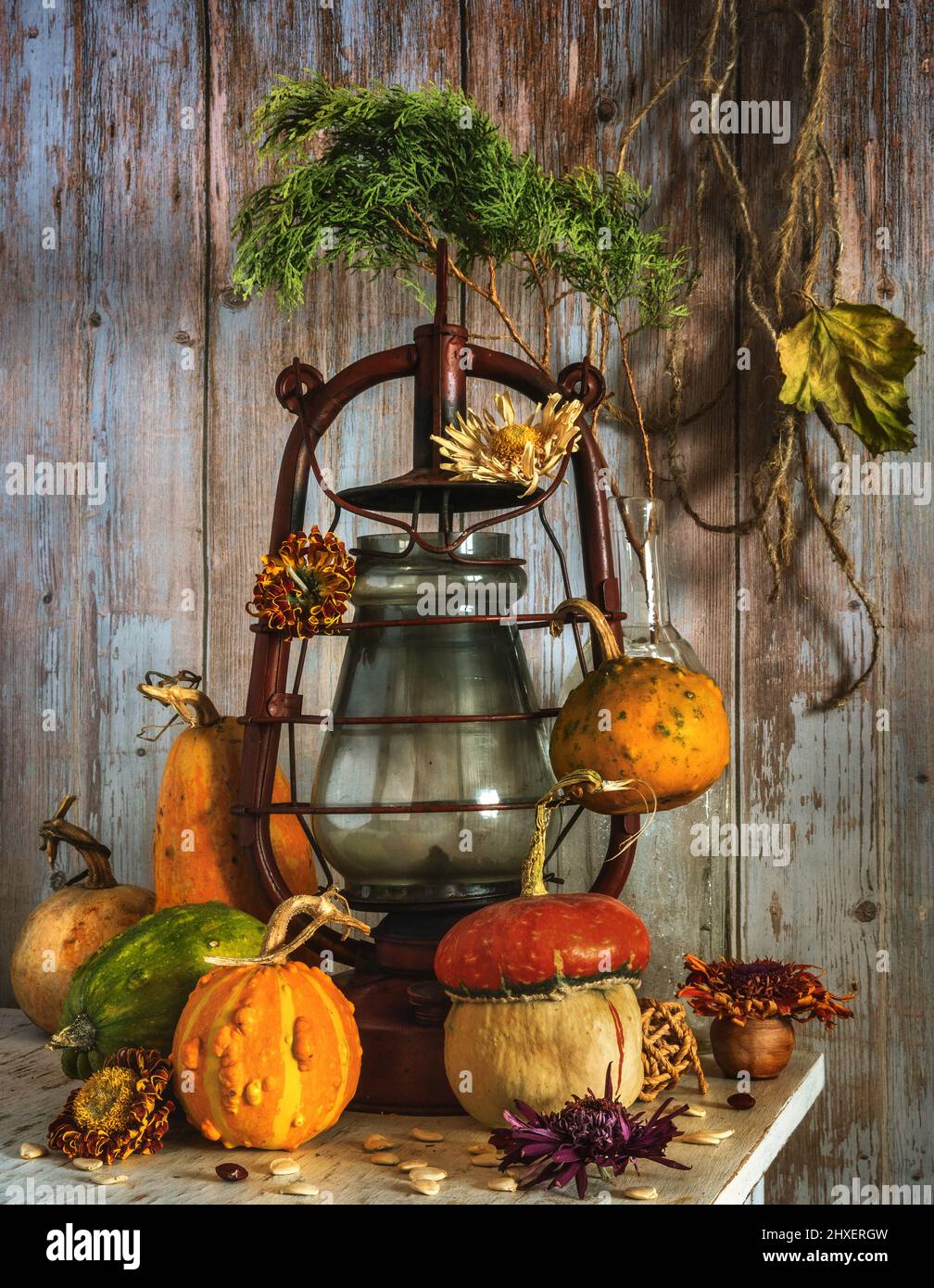 Still life with a kerosene lamp and a harvested pumpkin. Village still ...