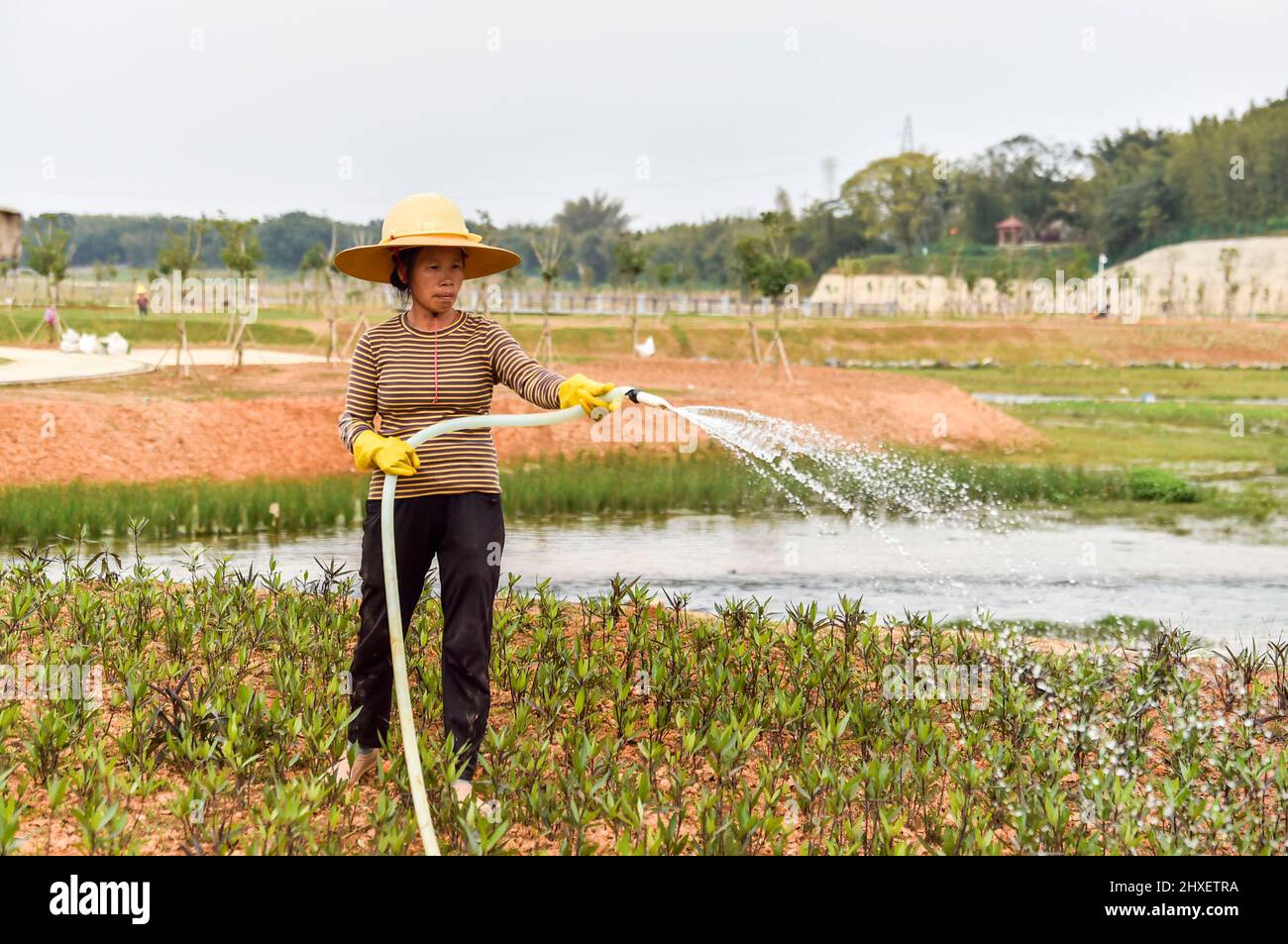(220312) -- NANNING, March 12, 2022 (Xinhua) -- A worker waters the ...