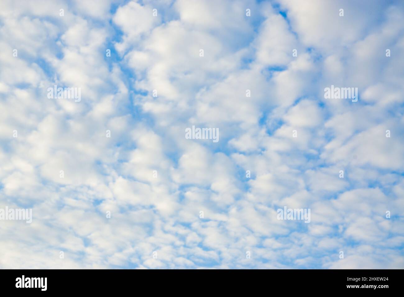 Mostly white cloud against blue sky nature background evening scene ...
