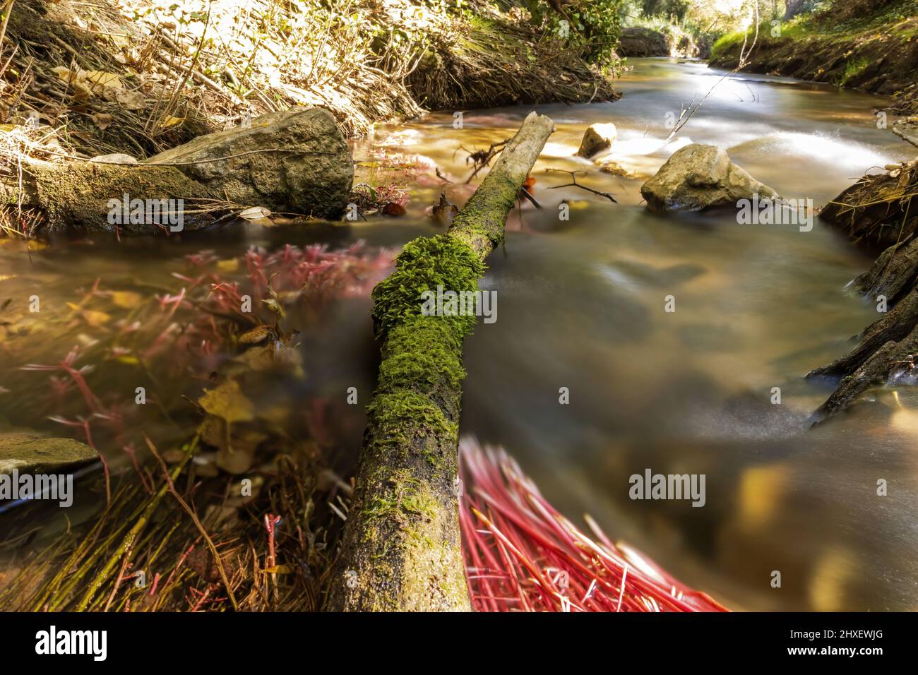 Guadalaviar river, tributary of the turia in Teruel. Silky water with ...