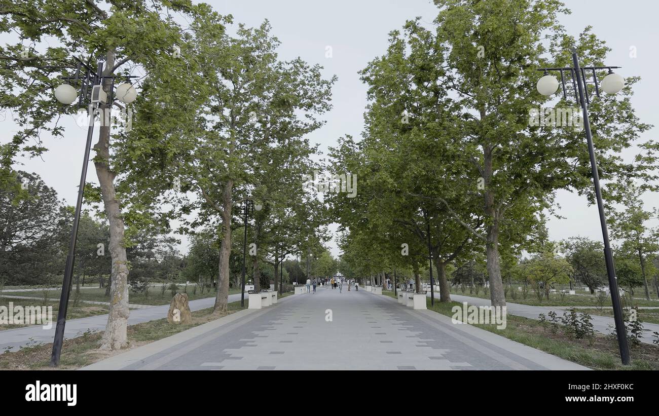 City street with the wide sidewalk with growing green trees. Action ...