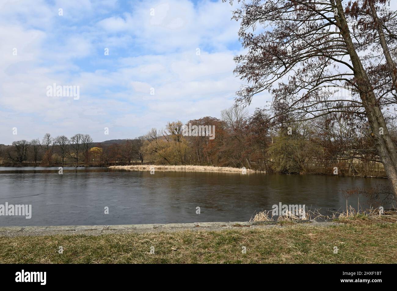 Vienna, Austria. 06 March 2022. The Lainzer Tiergarten in Vienna. The ...