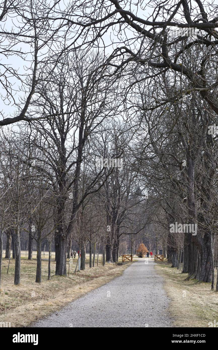 Vienna, Austria. 06 March 2022. The Lainzer Tiergarten in Vienna Stock ...